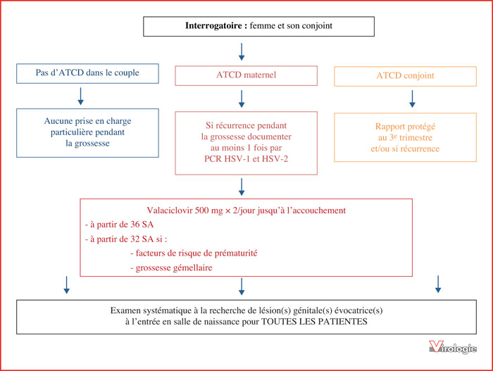 Mise à jour 116+ imagen numération formule sanguine grossesse - fr ... Mise à jour 116+ imagen numération formule sanguine grossesse - fr ...