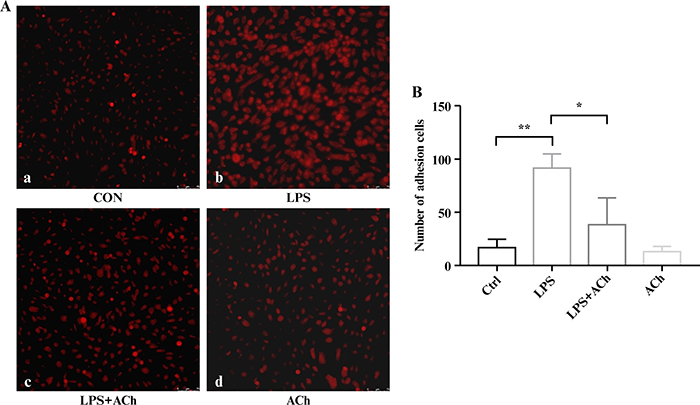 John Libbey Eurotext European Cytokine Network Acetylcholine