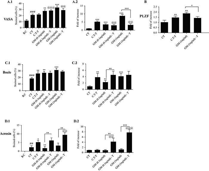 Jle European Cytokine Network Granulocyte Macrophage Colony